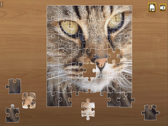 JIGSAW PUZZLE CLASSIC gioco online | Giochi POMU